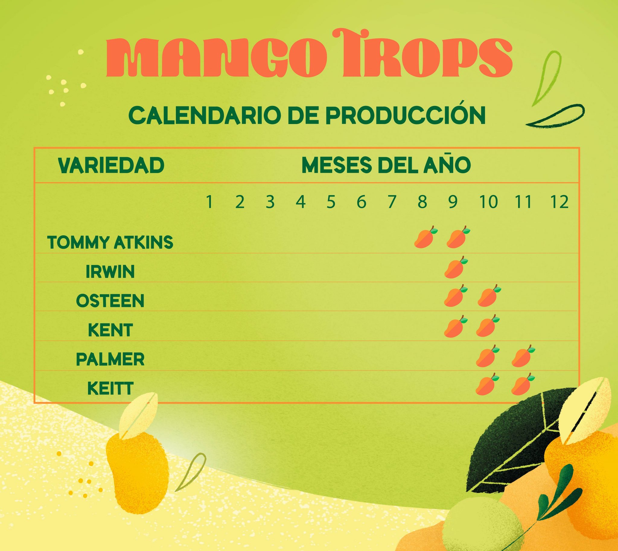 Nuestros mangos son de temporada – Conoce las fechas en las que podrás ...