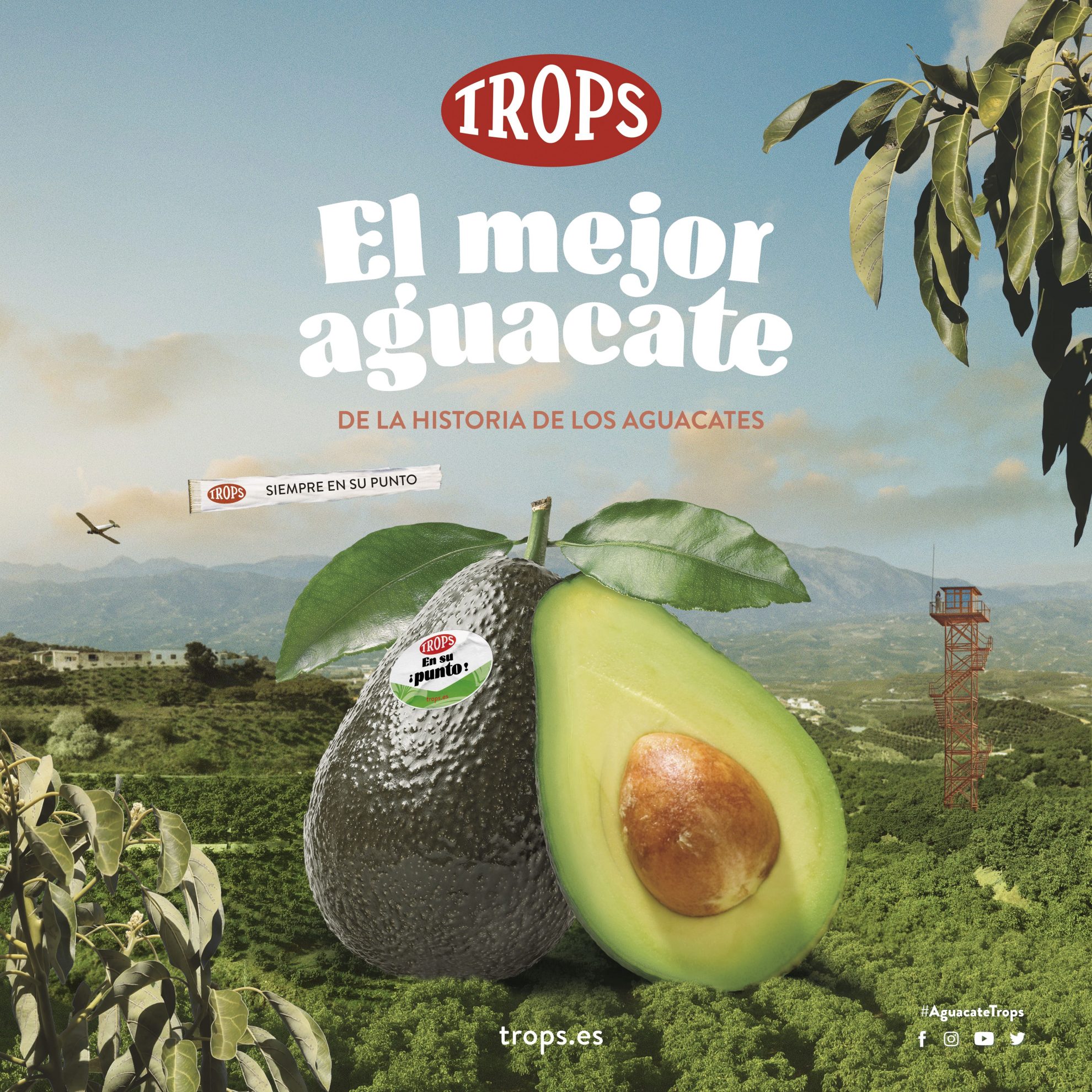 ¡Los aguacates TROPS en TV! | Club Trops